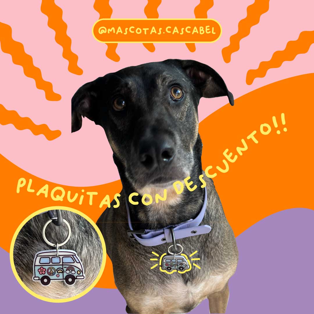 Placa para perro o gato ¡Con Descuento! | Mascotas Cascabel ...